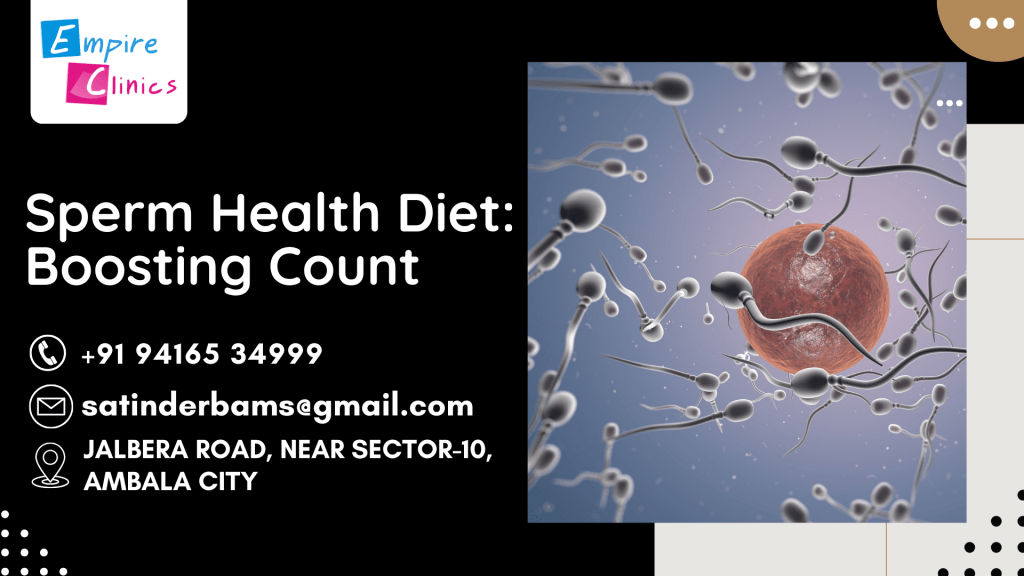 The Sperm Health Diet: Key Foods and Tips for Increasing Sperm...